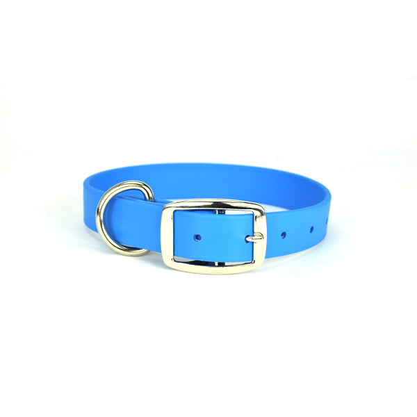 SDG Standard Dog Collar – Soggy Dog Gear