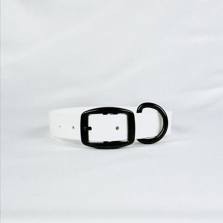SDG Standard Dog Collar – Soggy Dog Gear
