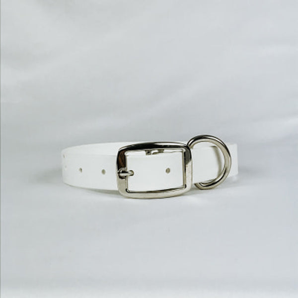 SDG Standard Dog Collar – Soggy Dog Gear